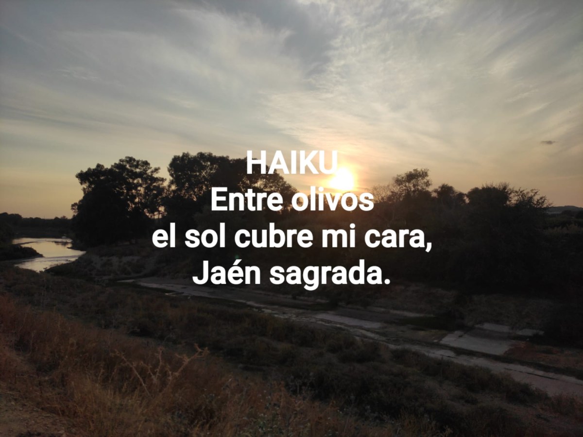 Haiku (Número 831) – POEMAS BONITOS ALQUIMIA 🦄